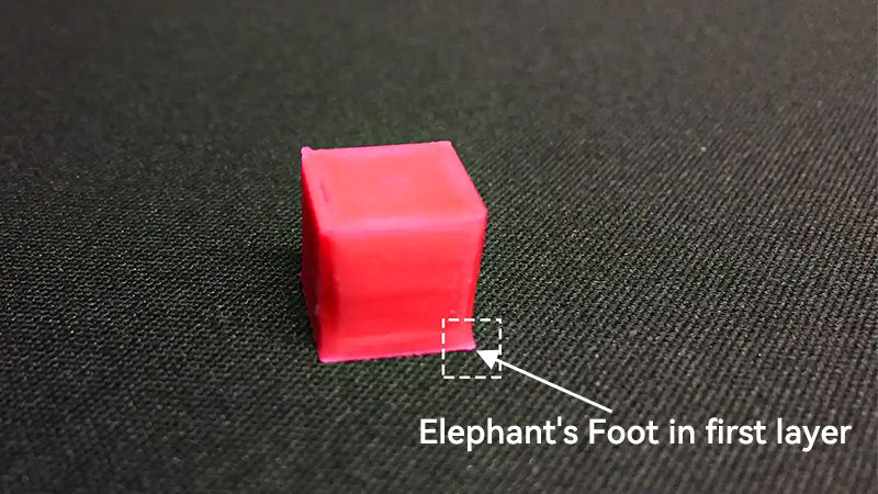 How to fix 3d print elephant foot with Initial Layer